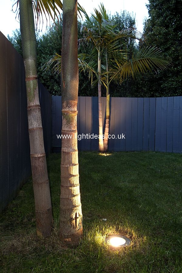 Up Lighting Gallery - Light Ideas International Ltd