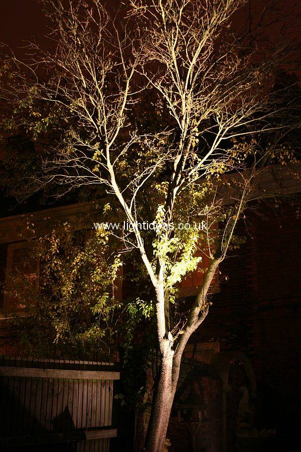 Up Lighting Gallery - Light Ideas International Ltd