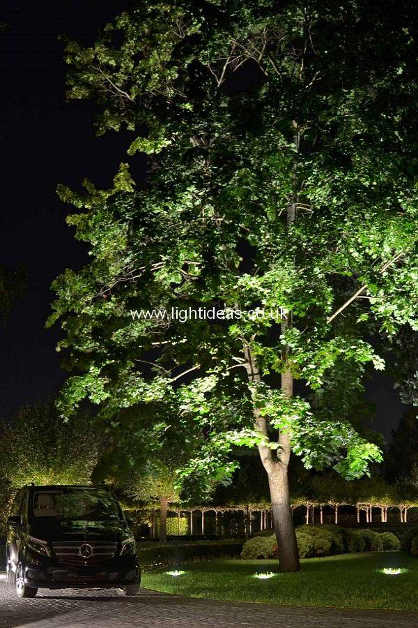 Up Lighting Gallery - Light Ideas International Ltd