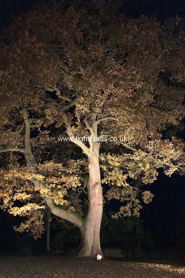 Up Lighting Gallery - Light Ideas International Ltd