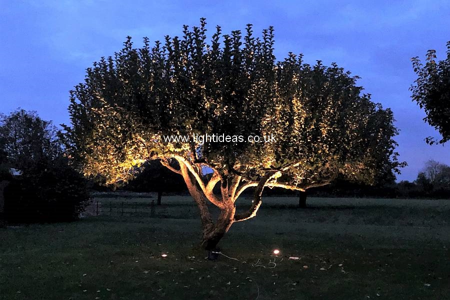 Up Lighting Gallery - Light Ideas International Ltd