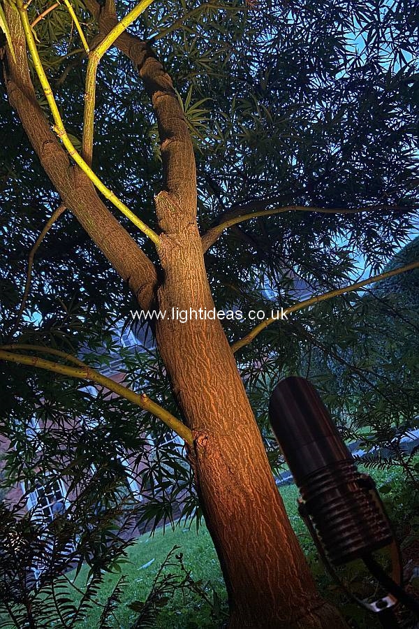 Up Lighting Gallery - Light Ideas International Ltd